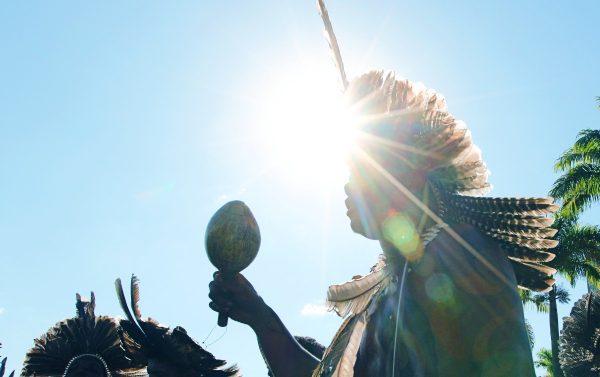 Políticos e seus familiares possuem 96 mil hectares sobrepostos a ...