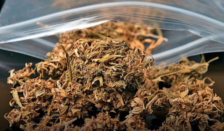 SP: uso do K9, a “droga zumbi”, se espalha pela Cracolândia