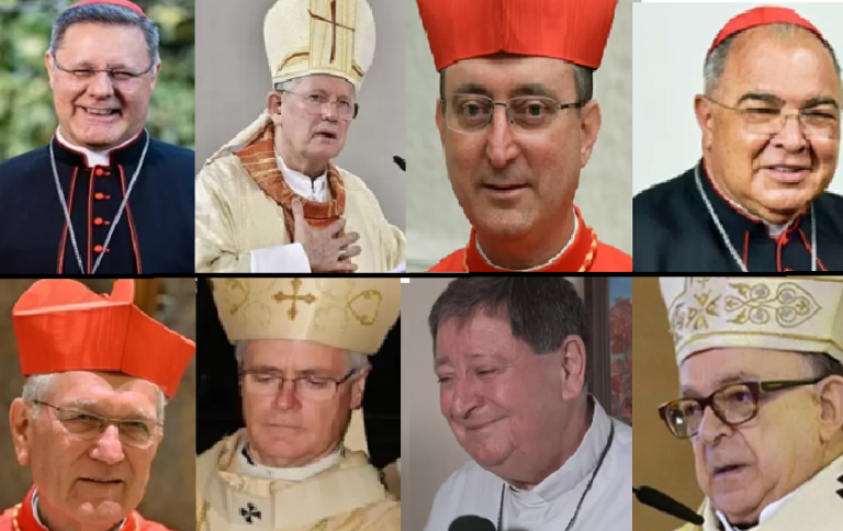 Quem são os cardeais brasileiros que participarão da sucessão de Francisco
