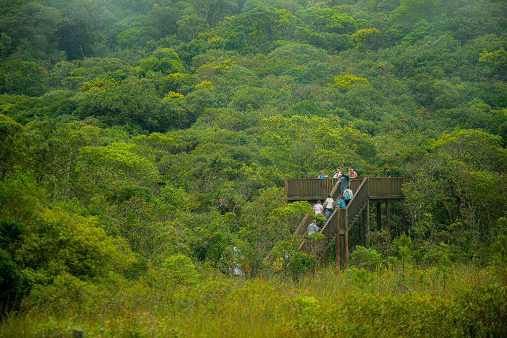 Helicóptero da PM resgata dois homens perdidos em trilha na Serra do Mar, em SP