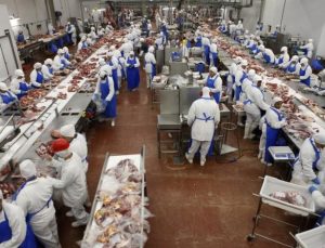 Sakamoto: STF pode chancelar golpe em trabalhadores em tema que ninguém ...